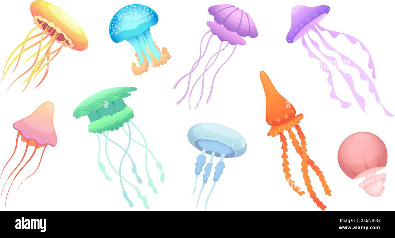 Jellyfish. Underwater wild animals beautiful colored group of ...