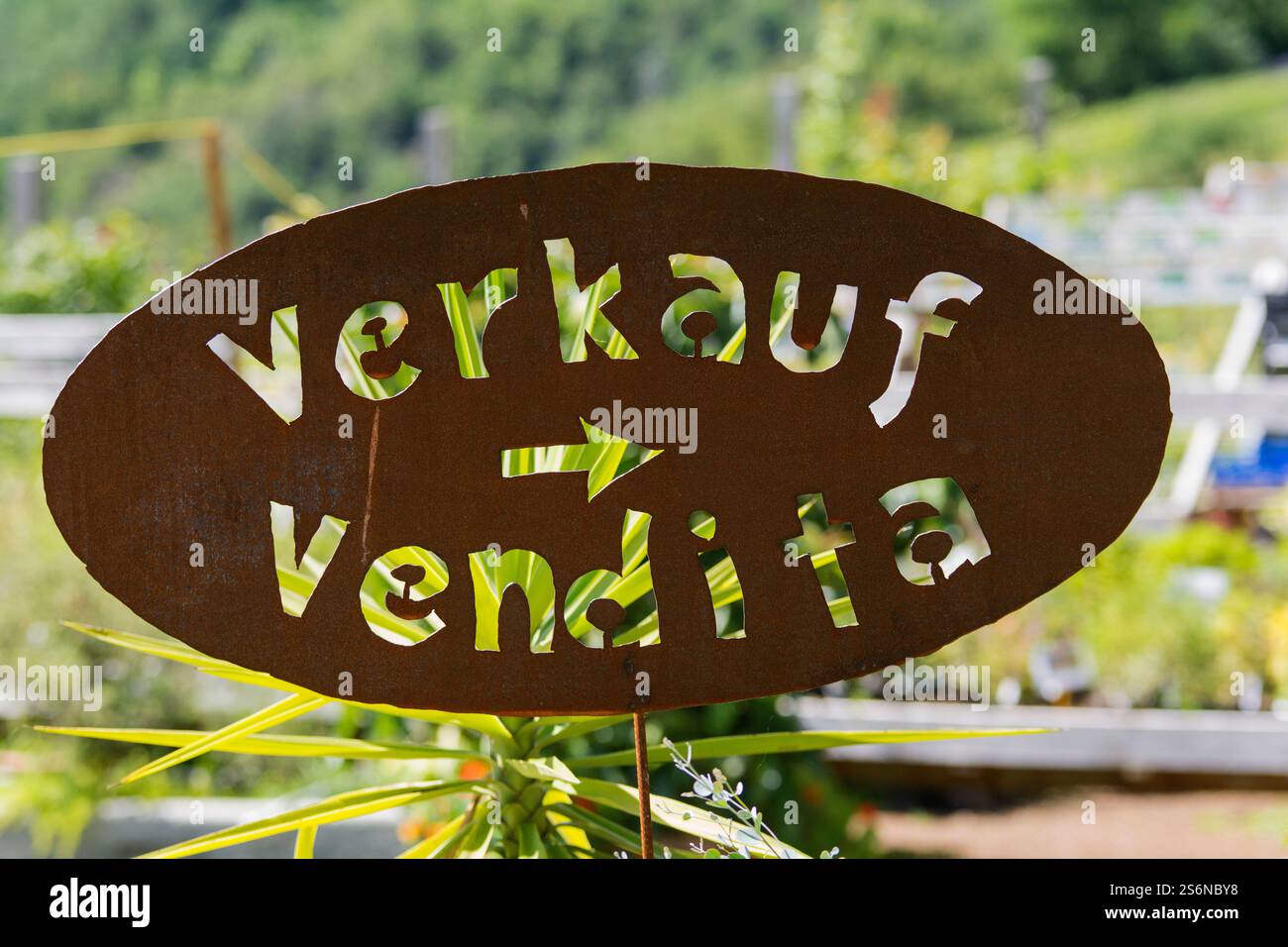 Hints of flowers hi-res stock photography and images - Alamy