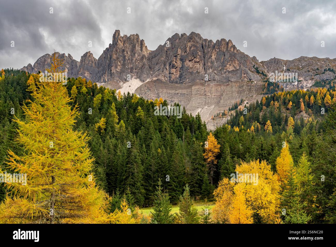 Fall foliage color in the trees in Val di Funes near Santa Magdalena ...