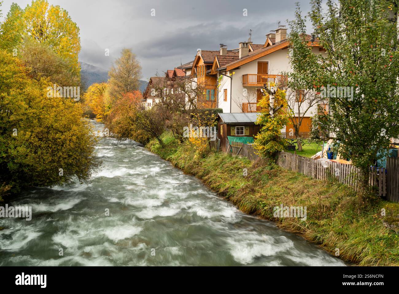 Fall foliage in the trees and the village of Villabassa, Italy, Europe ...