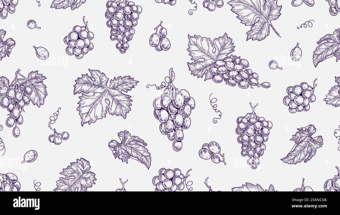 Grape pattern. Vine seamless texture, plants and leaves. Sketch ...