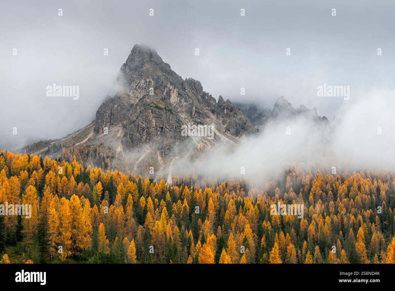 The Dolomite mountain range with fall foliage color Italy, Europe Stock ...