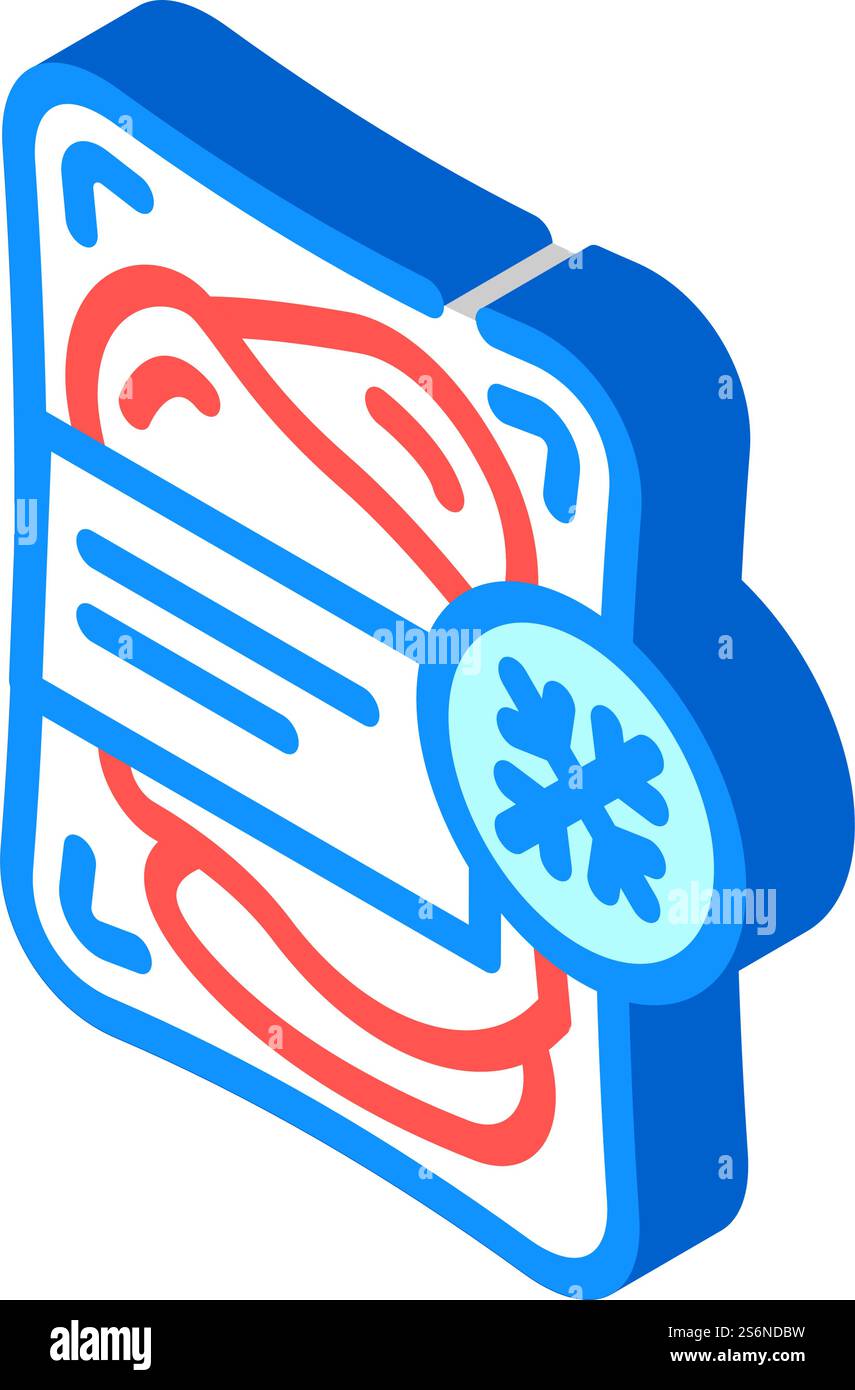 meat fillet frozen food isometric icon vector. meat fillet frozen food ...