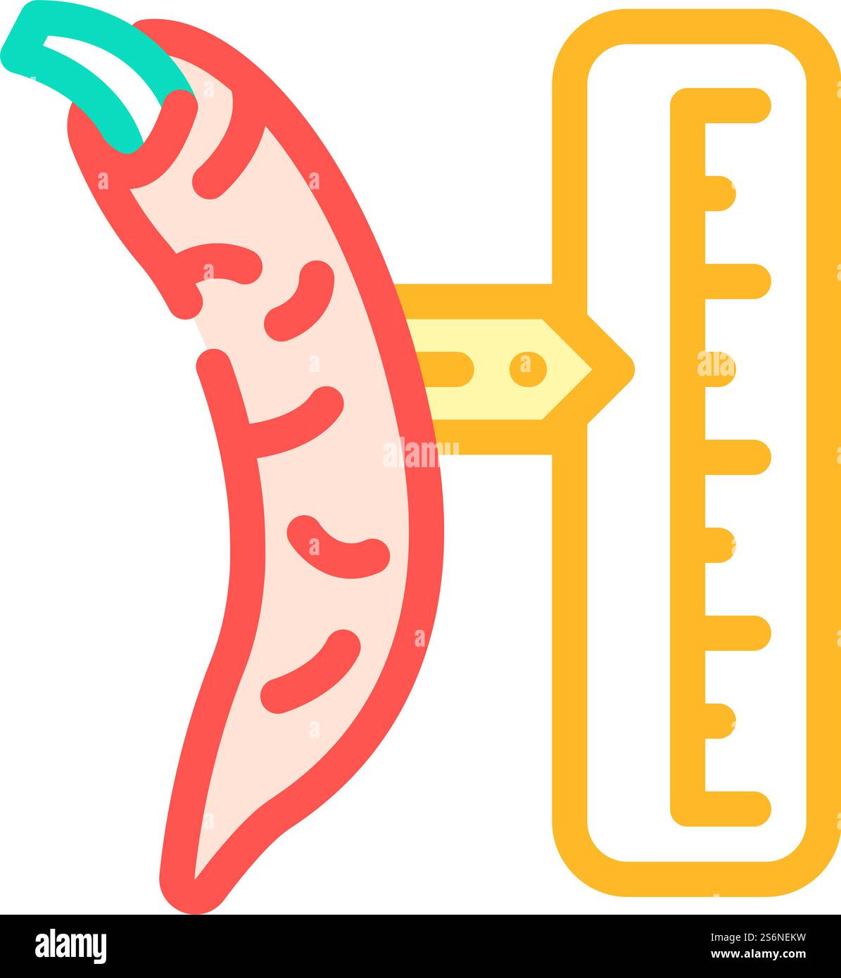 cayenne pepper spice scale color icon vector. cayenne pepper spice ...