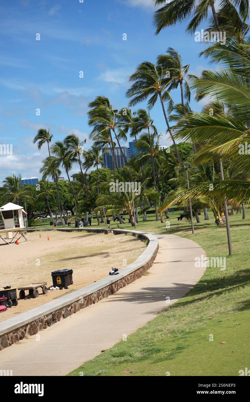 Pathway along a tropical park on Oahu, Hawaii, lined with swaying palm ...