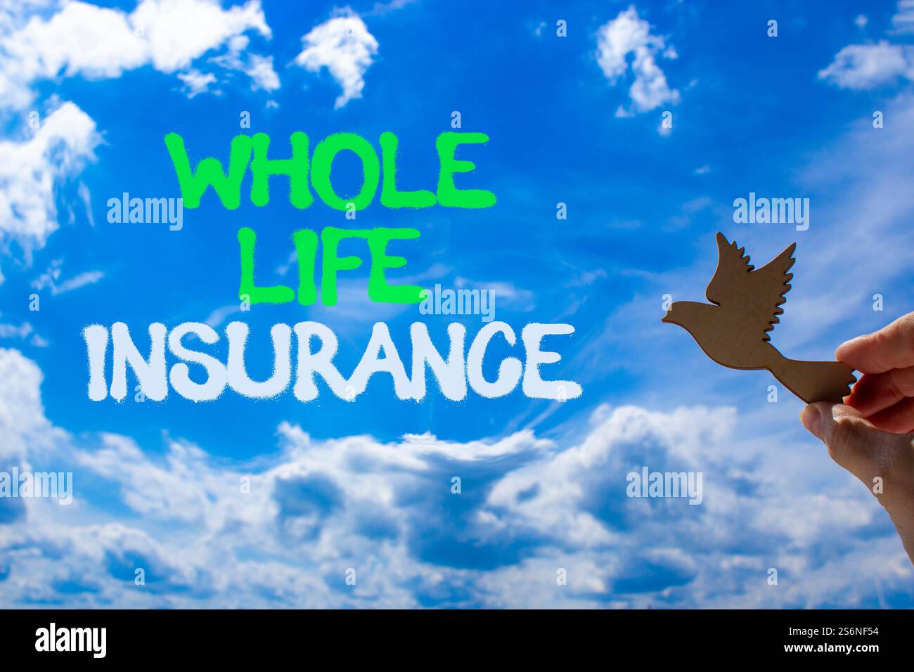Whole life insurance symbol. Concept words Whole life insurance on ...