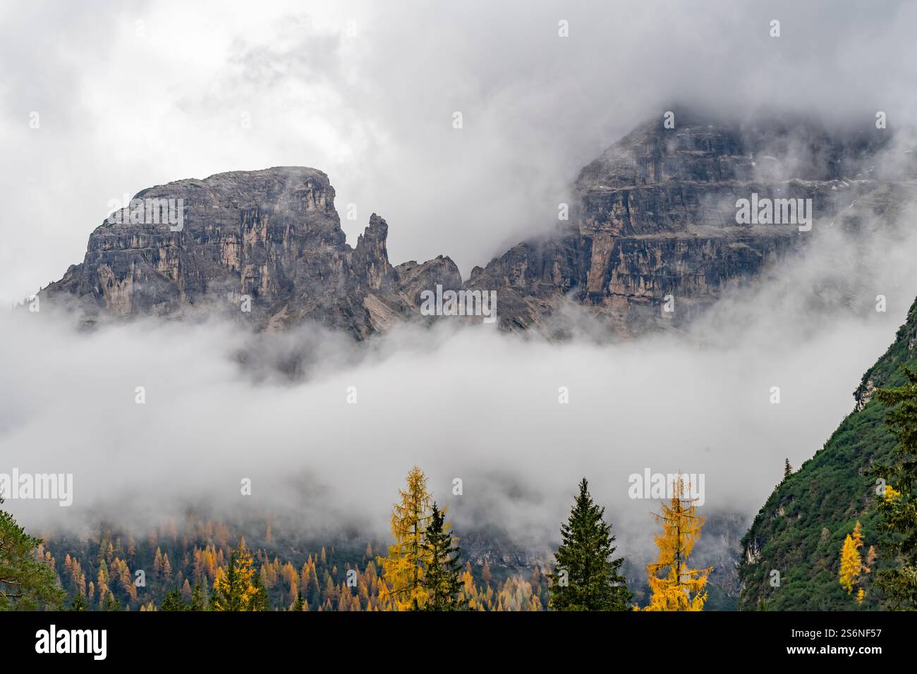 The Dolomite mountain range with fall foliage color Italy, Europe Stock ...