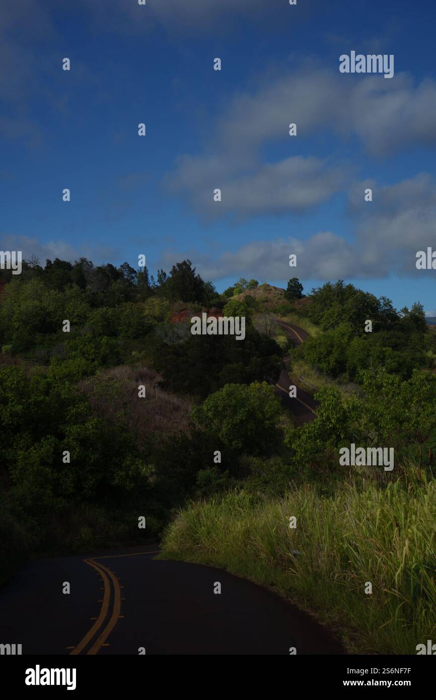 Lush greenery on island summer hi-res stock photography and images - Alamy