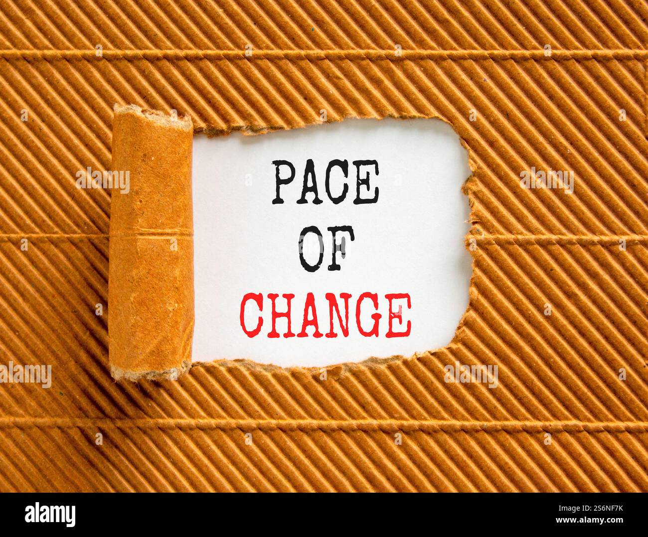 Pace of change symbol. Concept words Pace of change on beautiful white ...