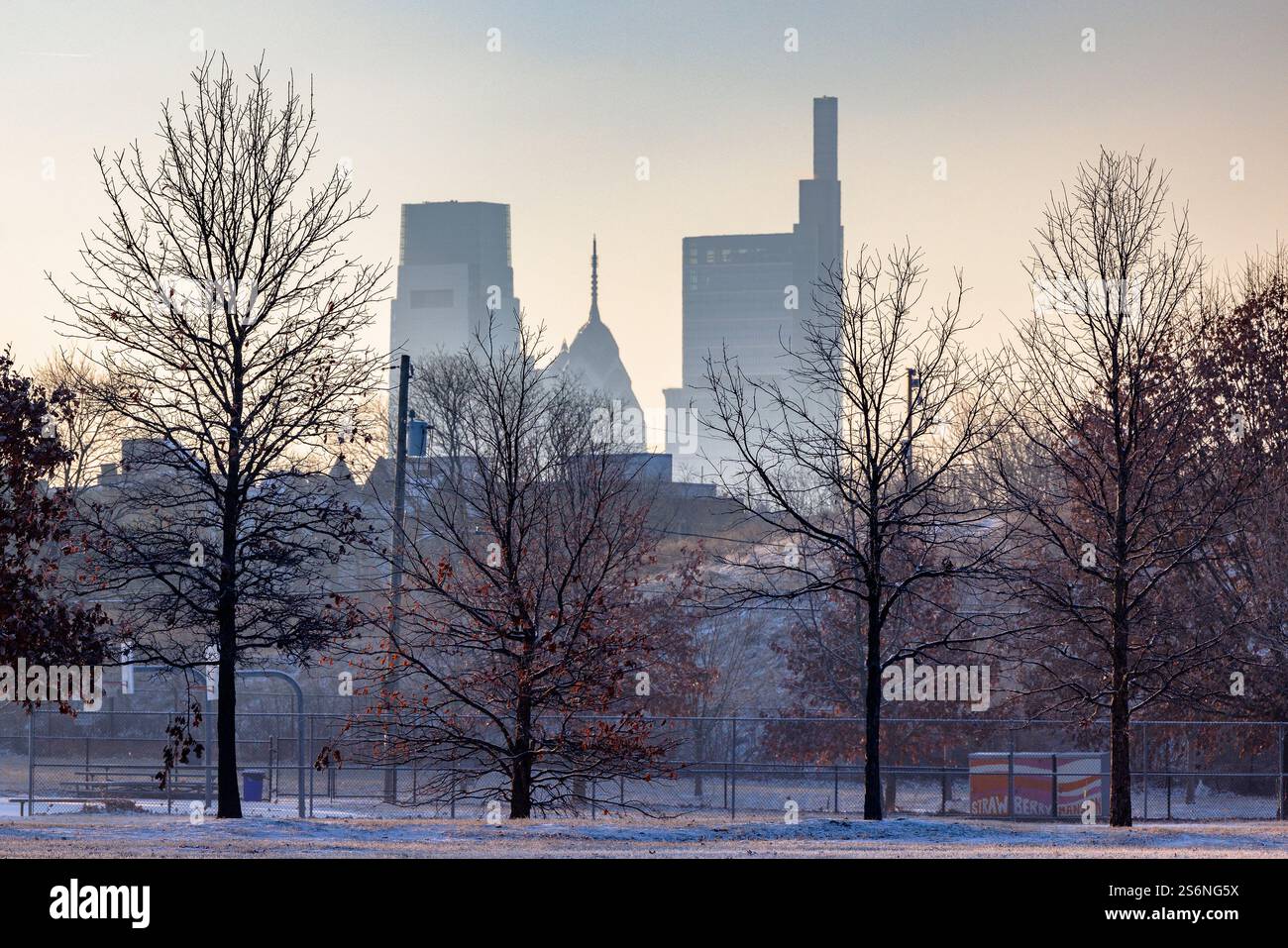 Trees and Center City skyline on a snowy morning, Fairmount Park near ...
