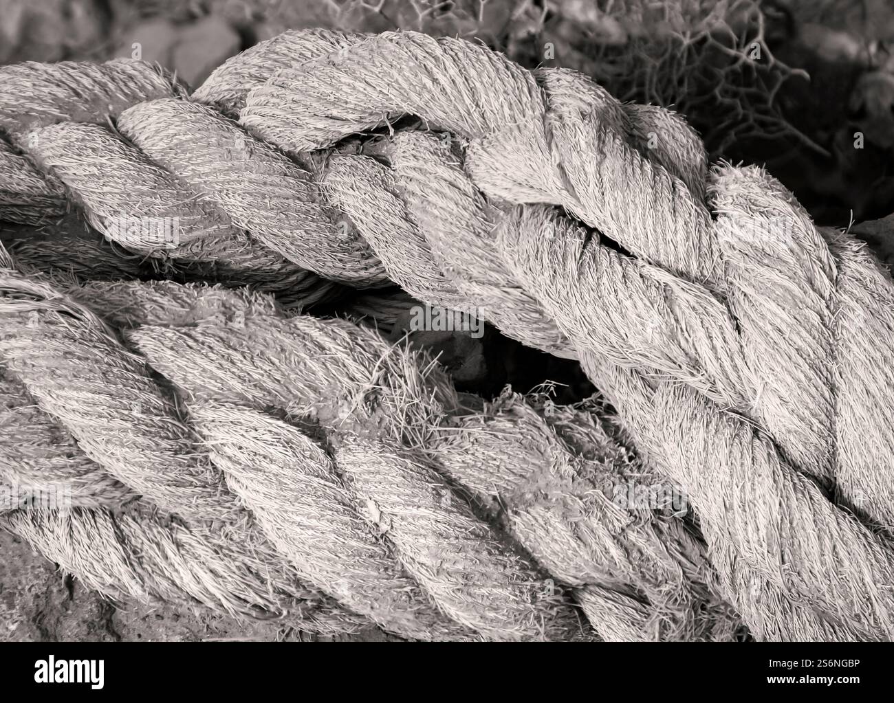 A carelessly thrown away old rope from a cutter, ship Stock Photo - Alamy