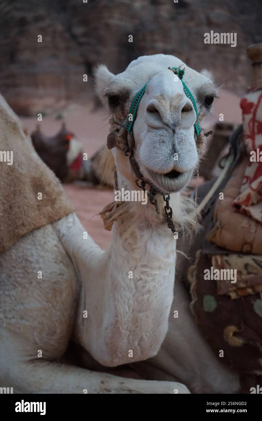 Iconic landscape photography hi-res stock photography and images - Alamy