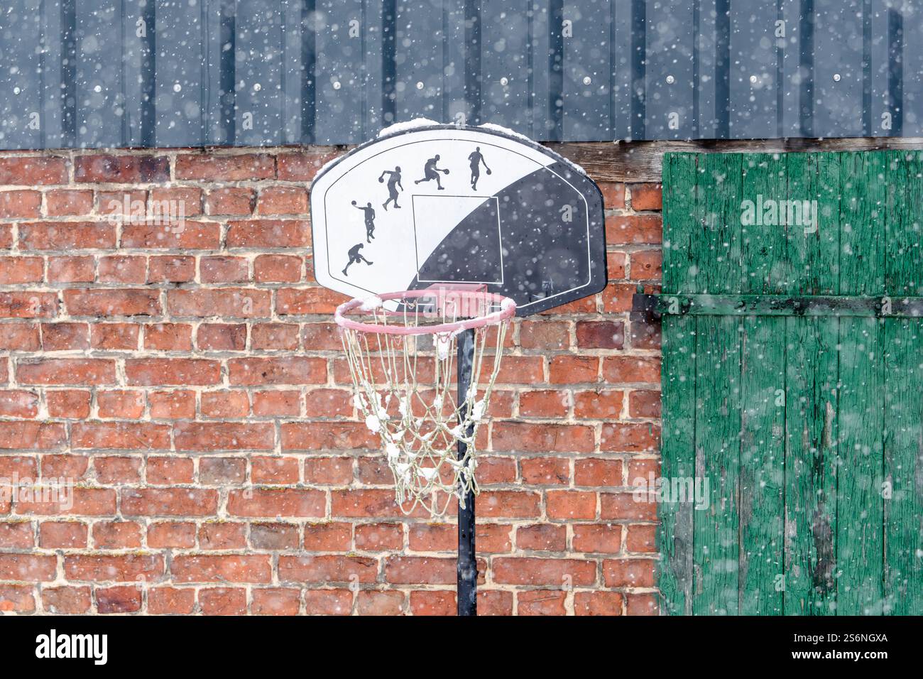 A basketball hoop is on a brick wall. The hoop is surrounded by snow ...