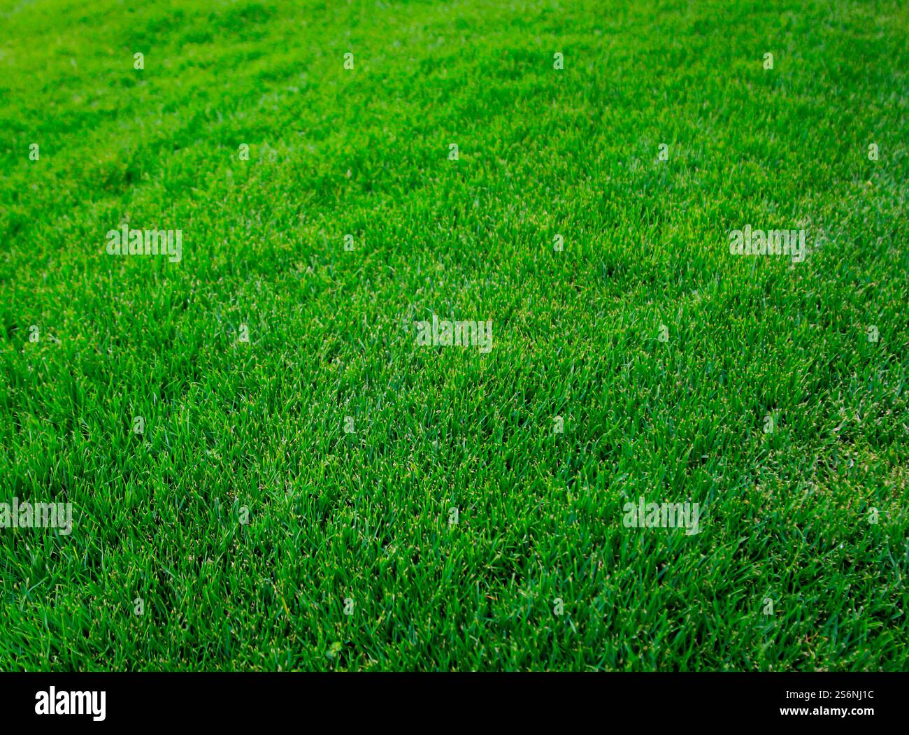 Rich in texture hi-res stock photography and images - Alamy