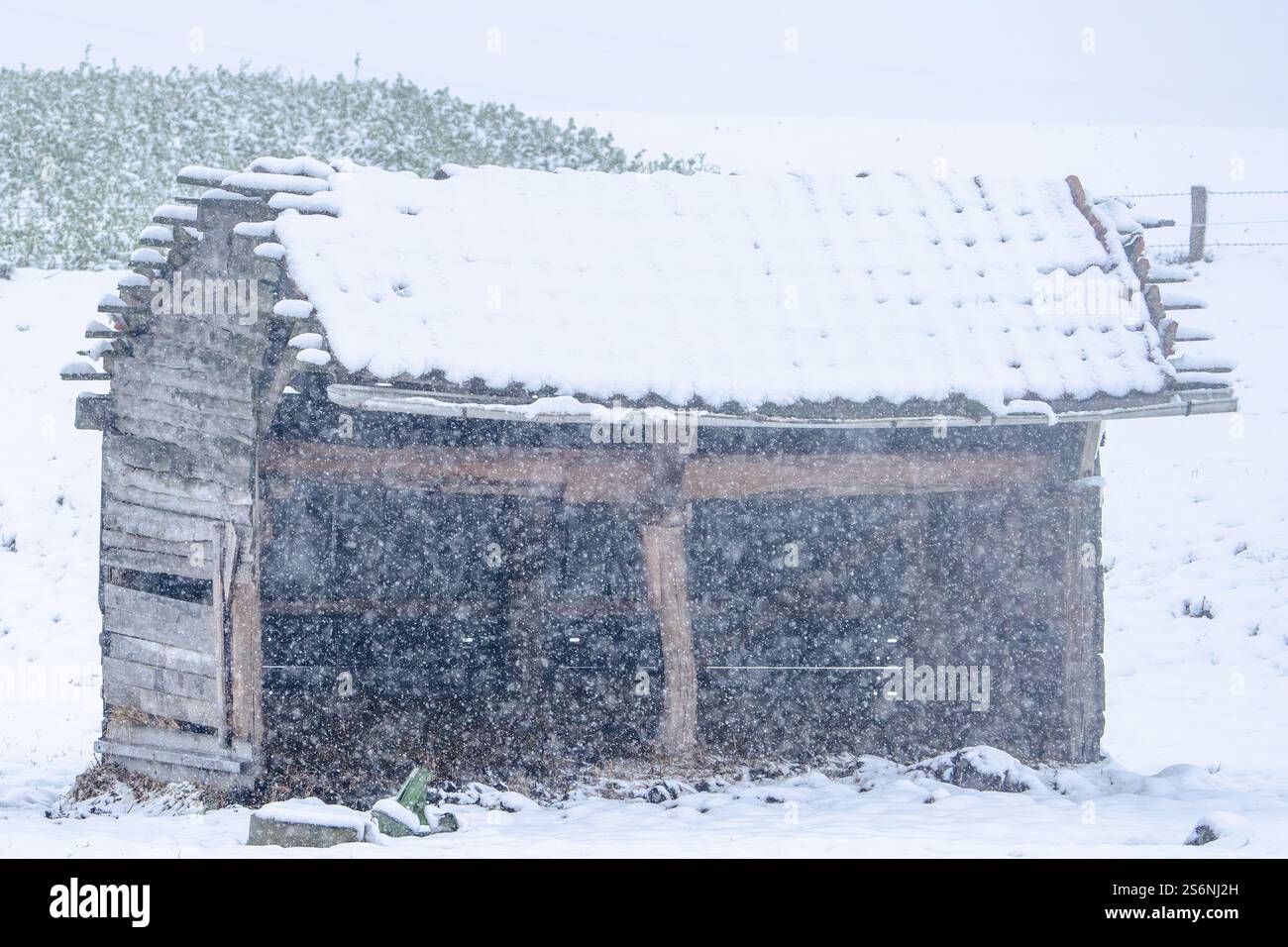 A small, old, wooden building covered in snow. The roof is slanted and ...