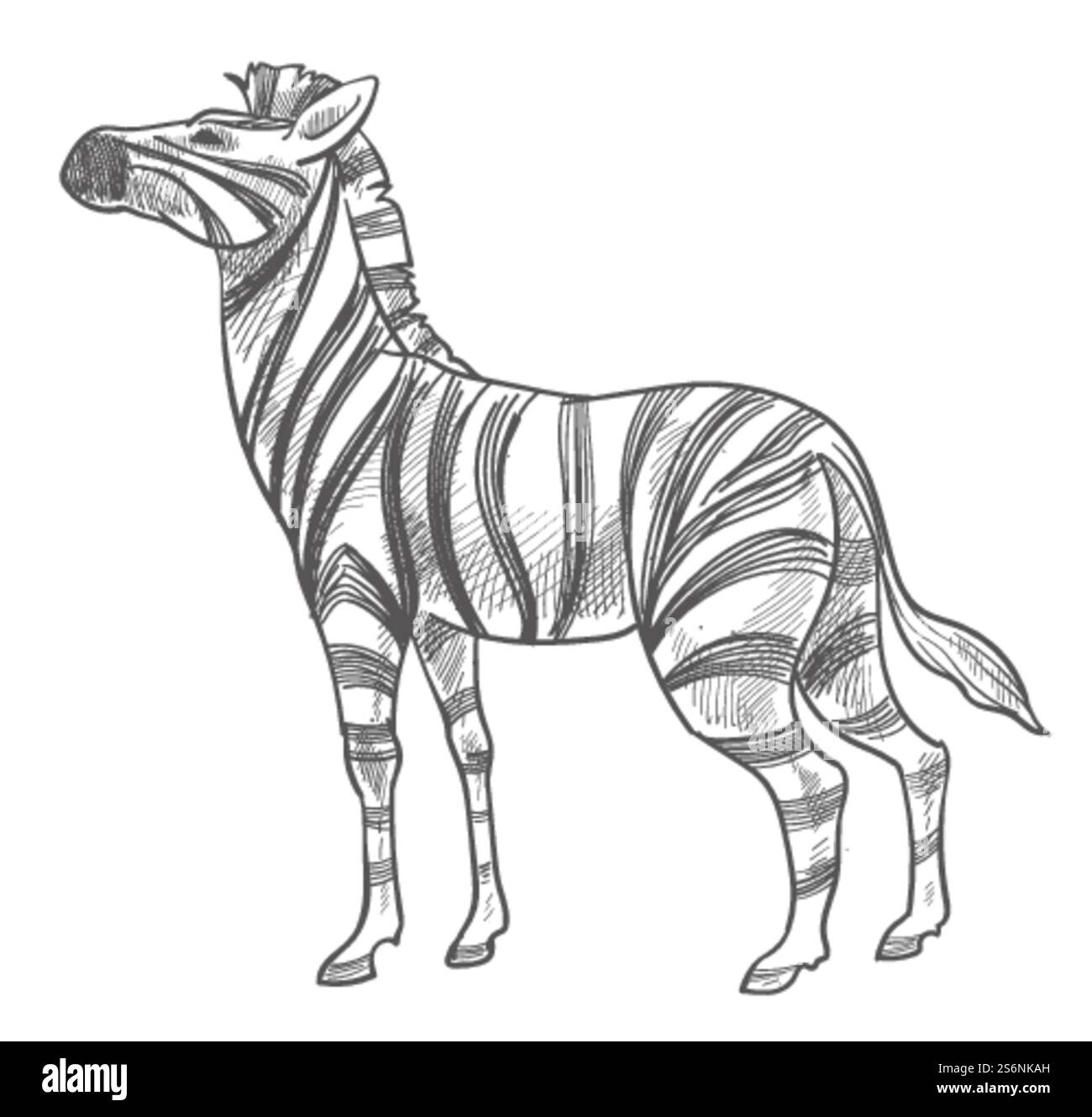 Wilderness and wildlife of animals, isolated icon of zebra with stripes ...