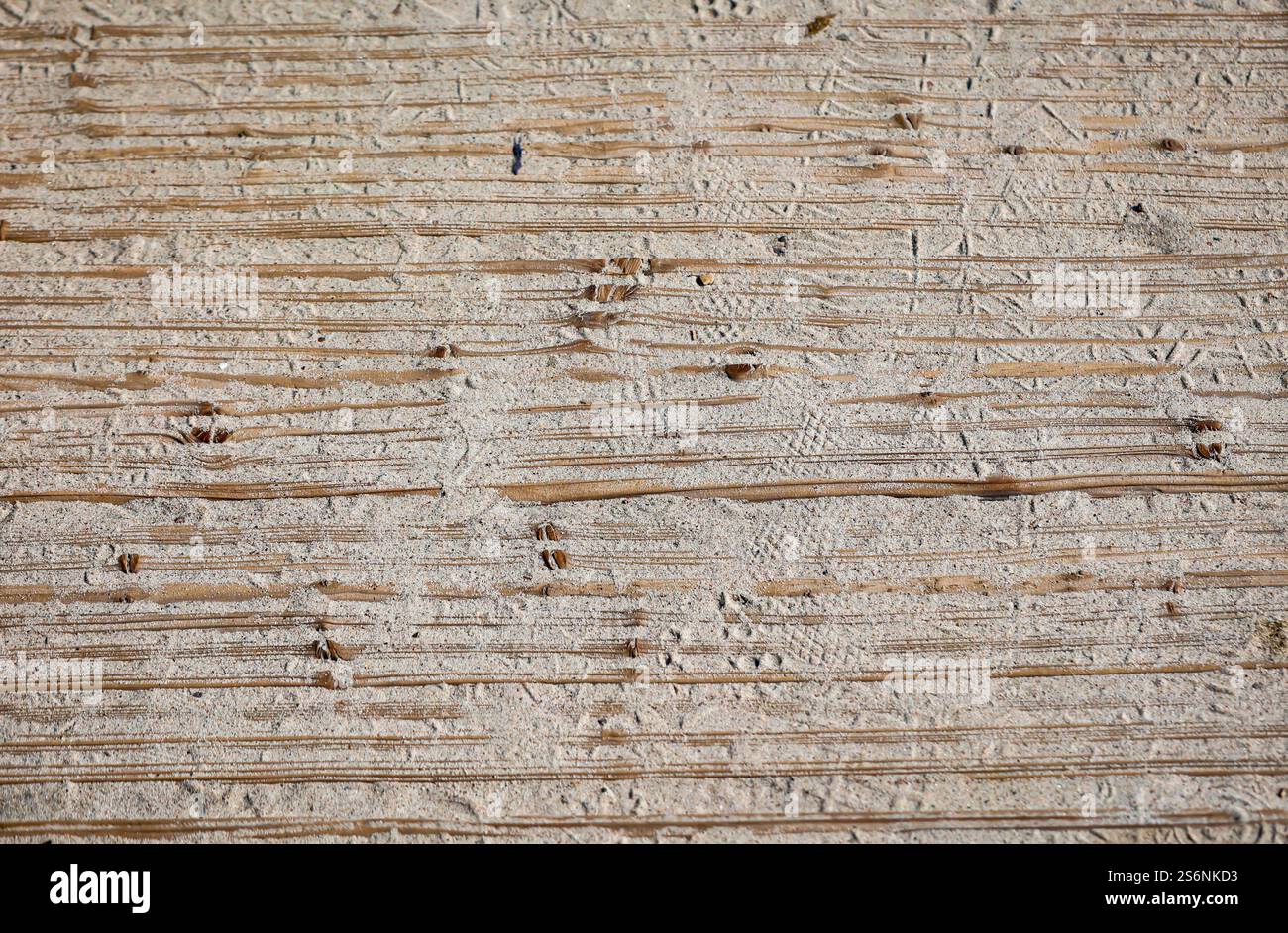 Wooden boards, wooden planks grooved and covered with sand as texture ...