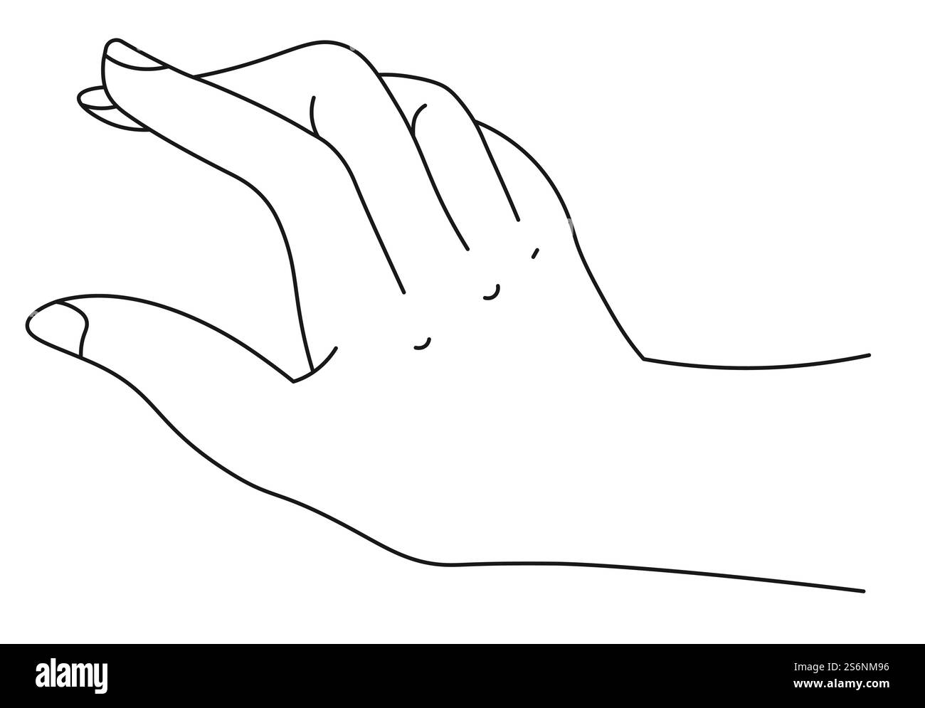 Hand with clean fingers, isolated elegant female or male palm showing ...