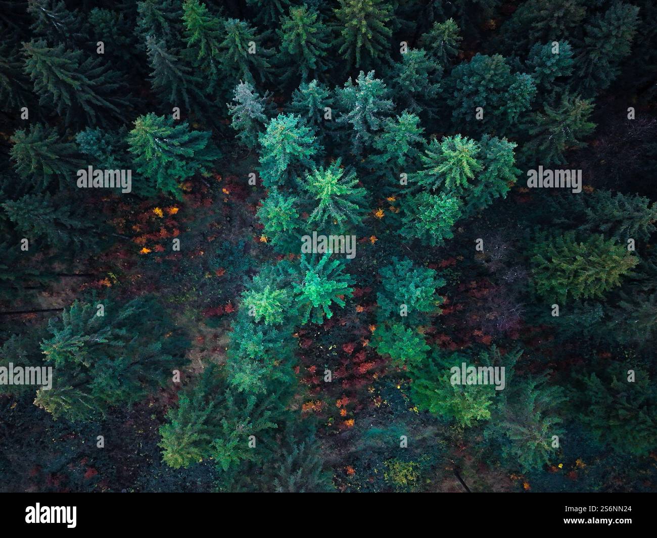 Best views from above - drone shots Stock Photo - Alamy