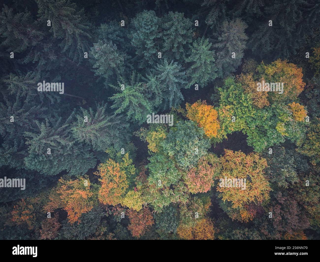 Best views from above - drone shots Stock Photo - Alamy
