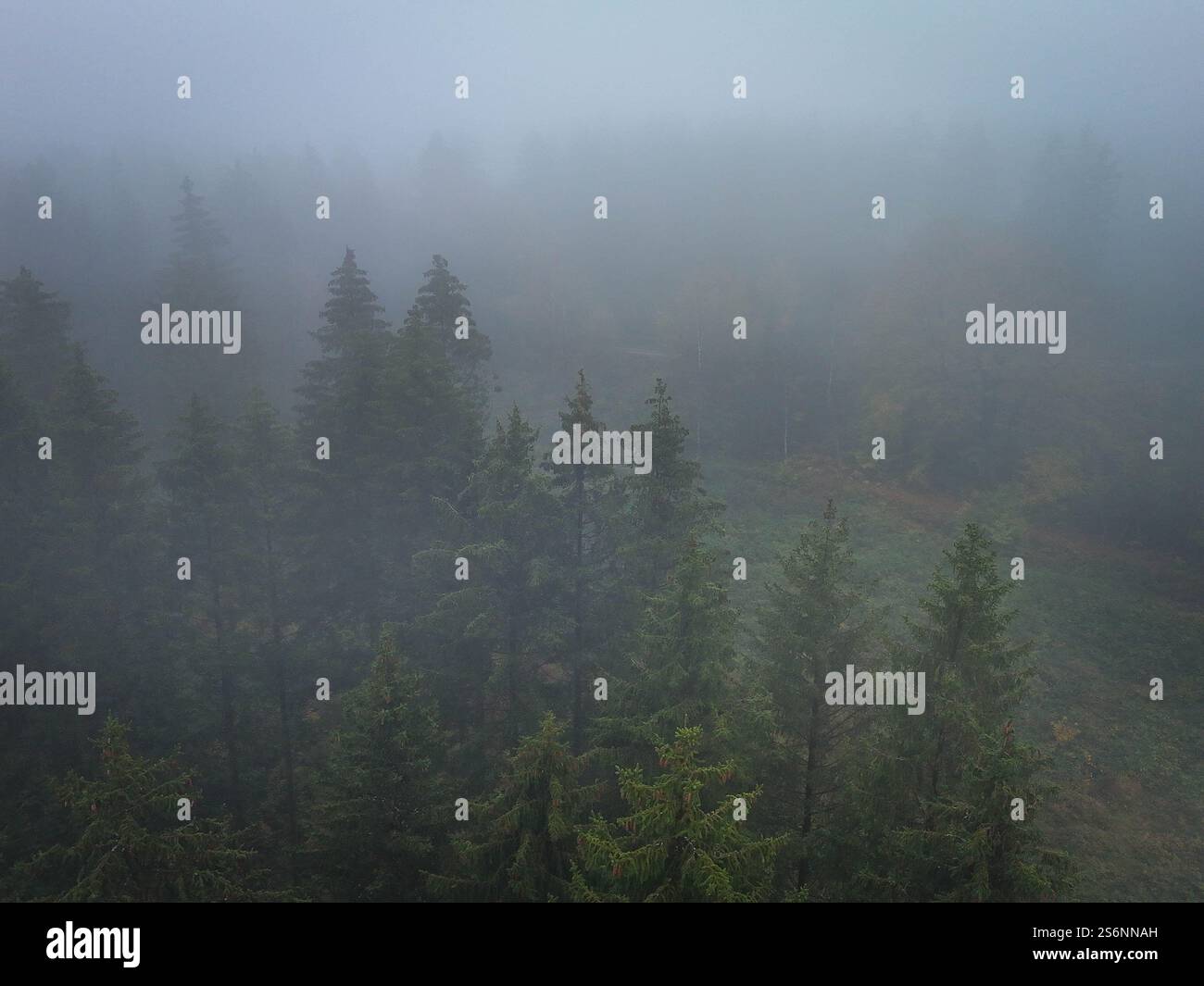 Best views from above - drone shots Stock Photo - Alamy