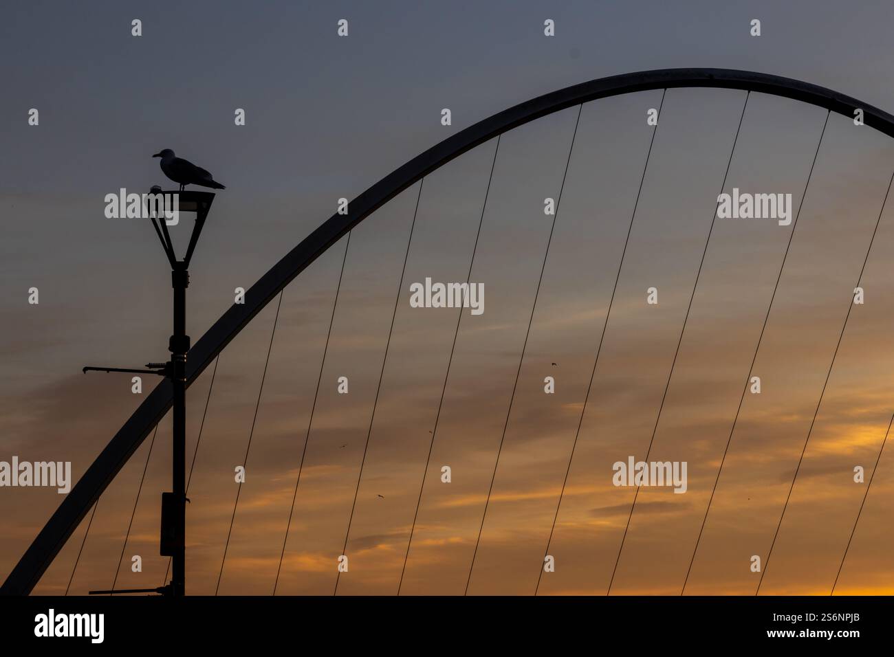 Silhouettes of the iconic Millennium bridge in Newcastle upon Tyne ...