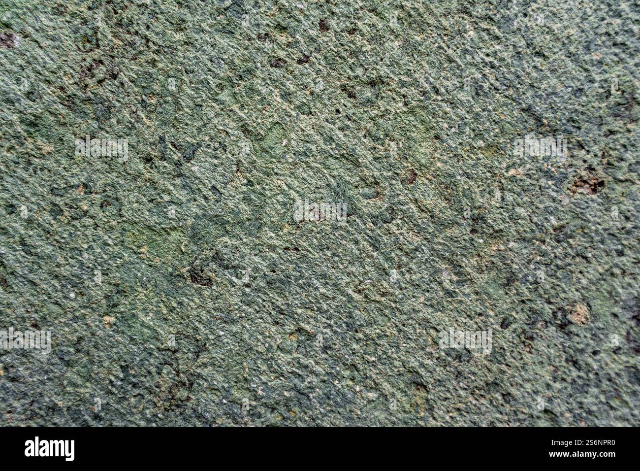 A close up of a green surface with a lot of texture. The surface is ...