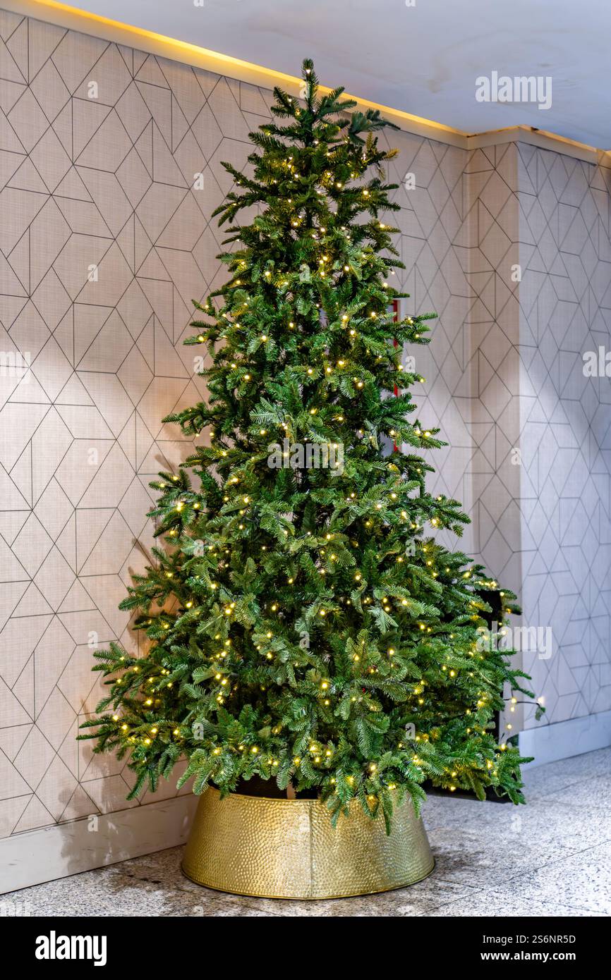 A tall Christmas tree with lights on it is standing in front of a white ...