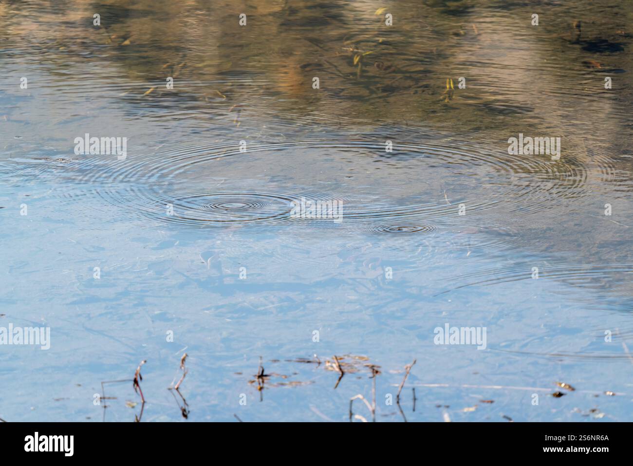 Round droplets of water over circles on the lake water. Water drop ...
