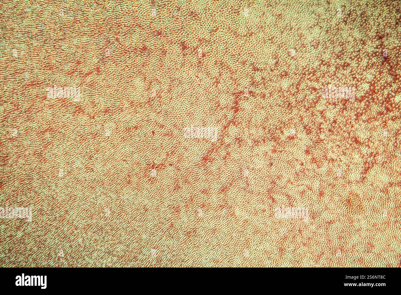 Section of crown hi-res stock photography and images - Alamy