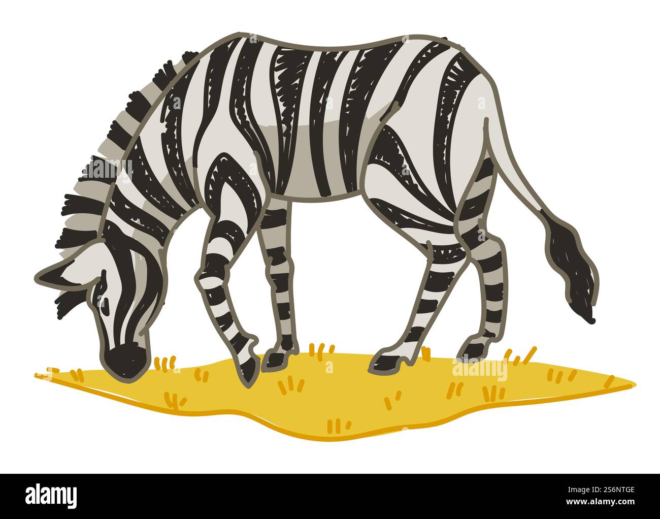 Wild horse on field Cut Out Stock Images & Pictures - Alamy