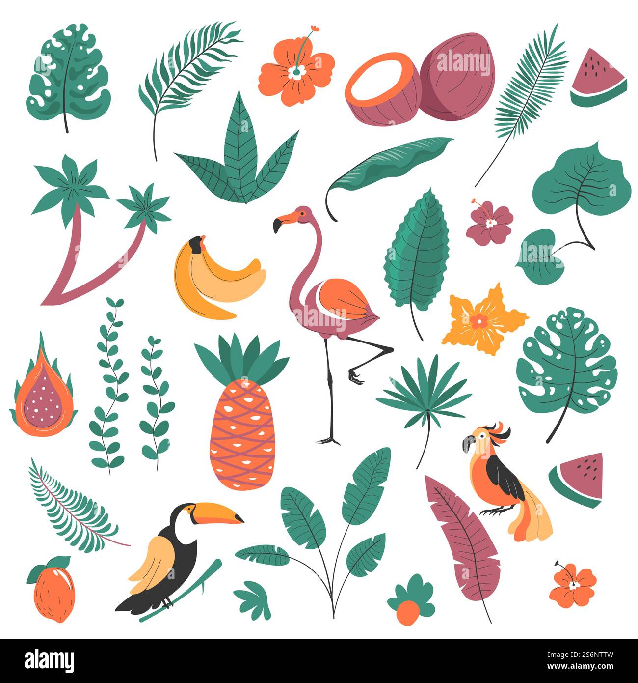 Exotic flora and fauna, birds and plants of tropics. Isolated palm tree ...