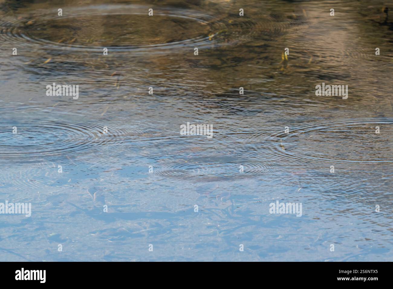 Round droplets of water over circles on the lake water. Water drop ...