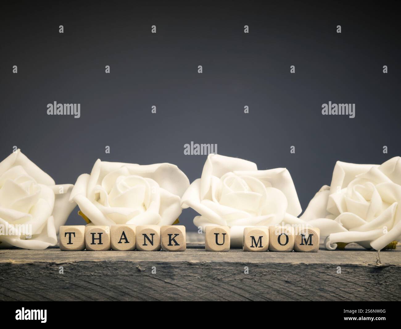 Mothers Day background with white roses and wooden dices with the words ...