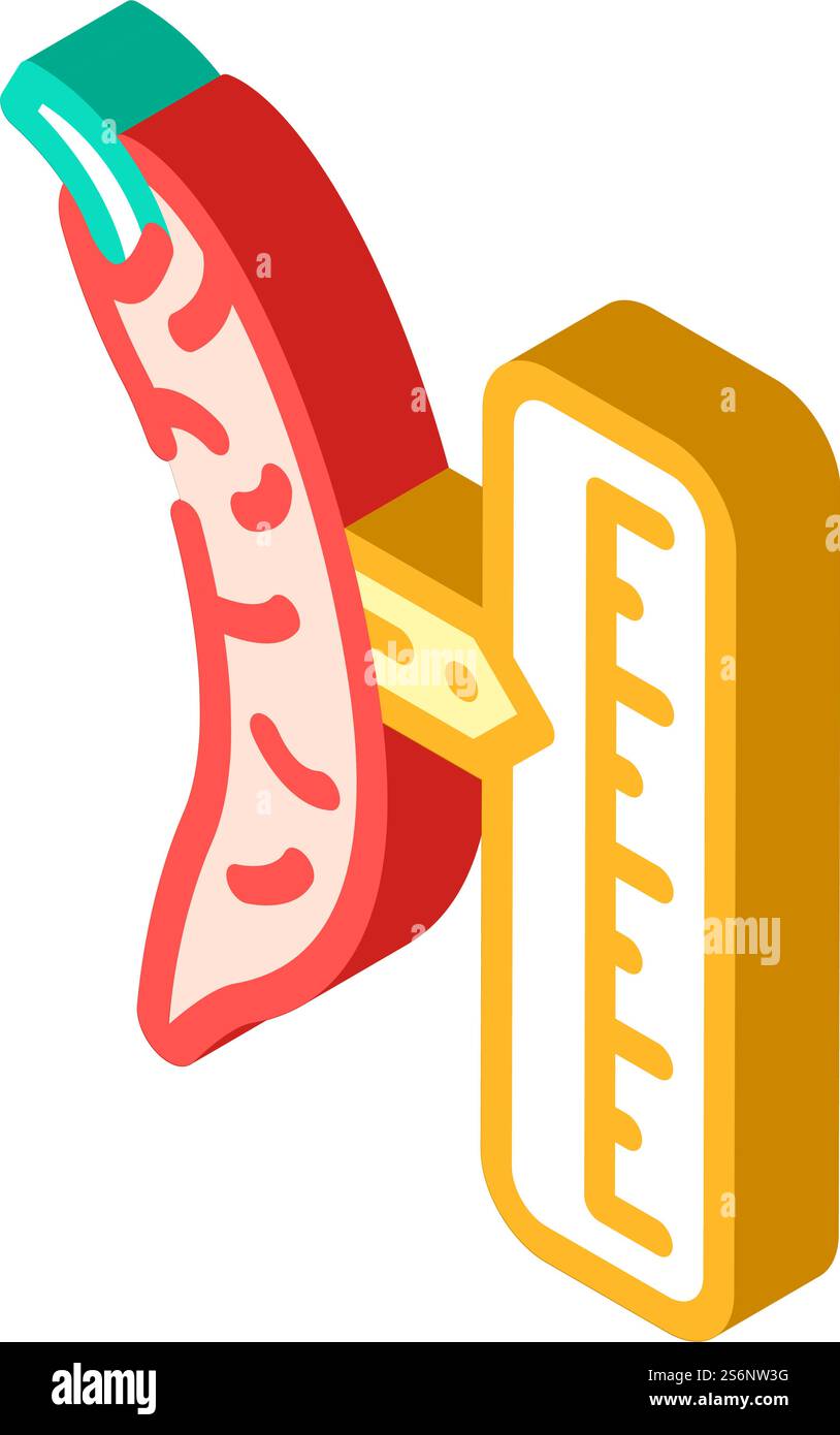 cayenne pepper spice scale isometric icon vector. cayenne pepper spice ...