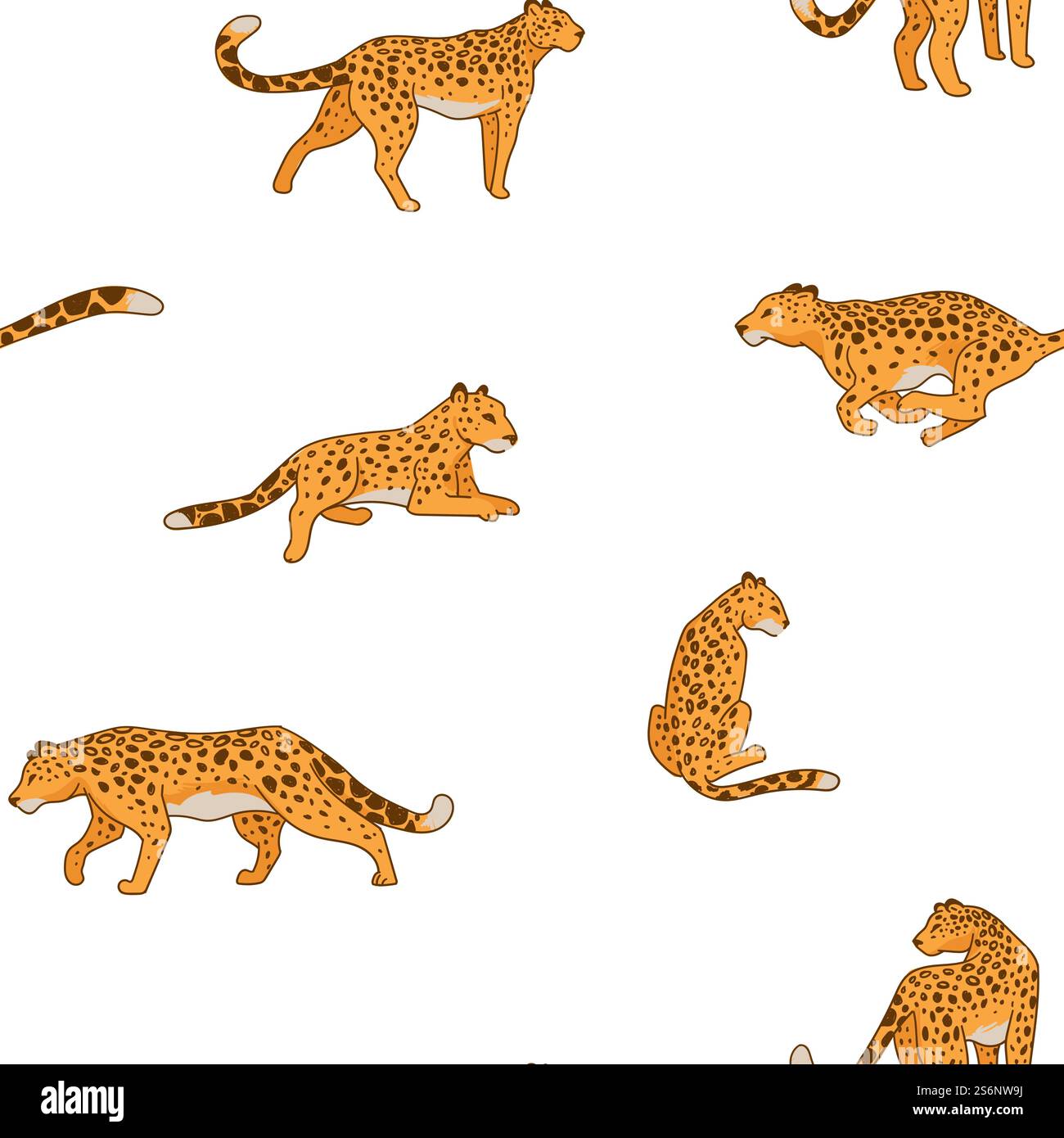 Leopard or cheetah animal running and laying, motion and calmness of ...