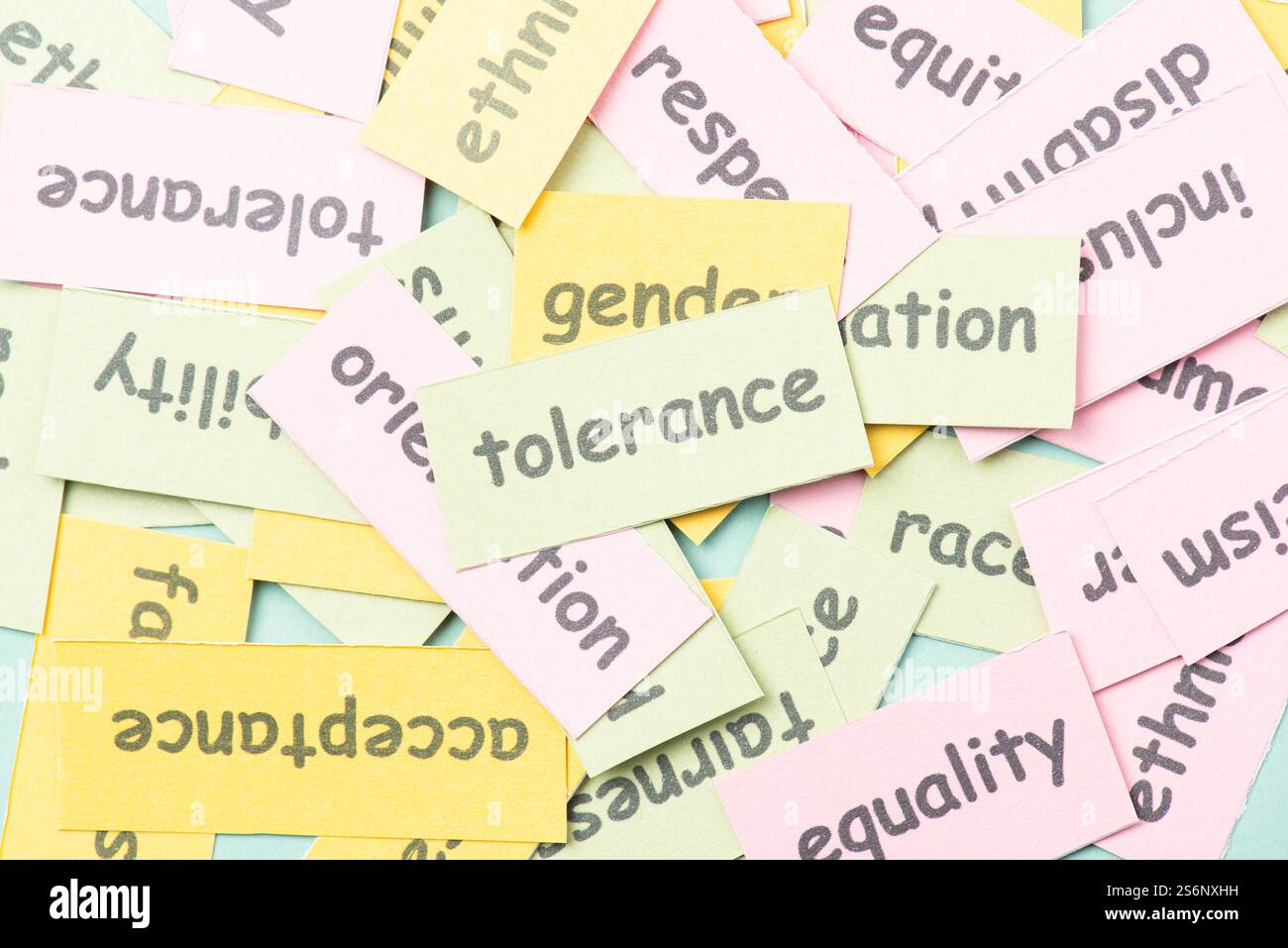 Tolerance, equality, inclusion, diversity, gender and ethnic race ...