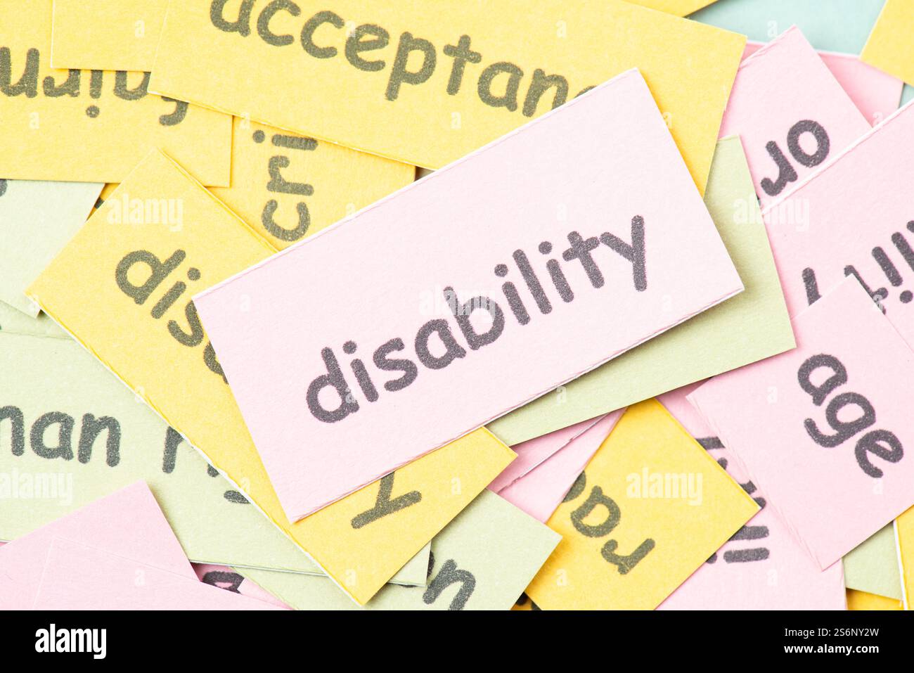 Disability, equality and inclusion, human rights, tolerance and ...