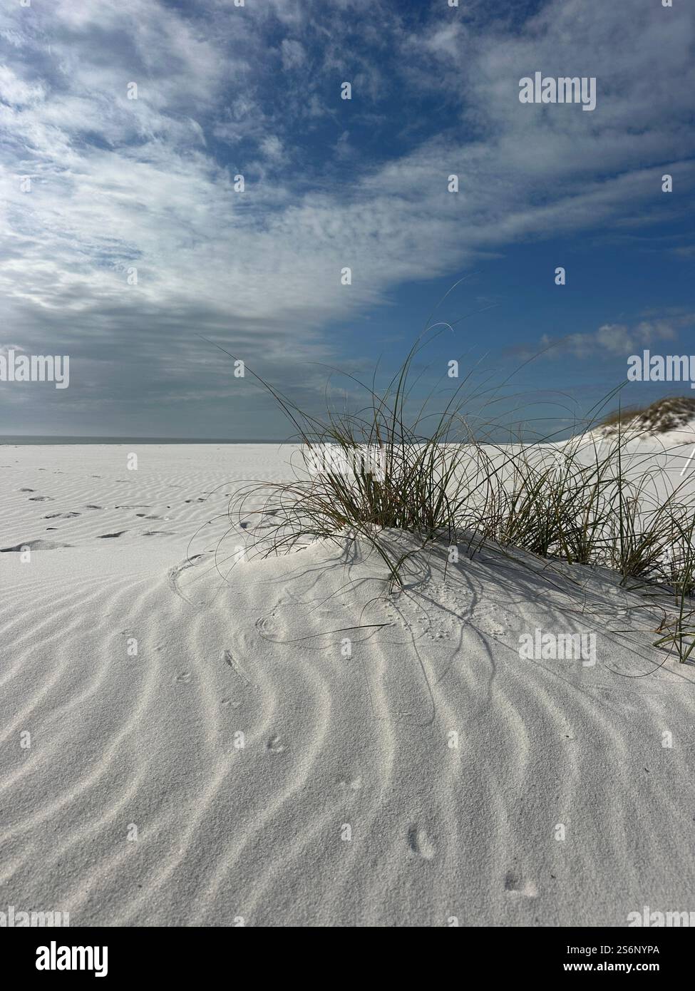 low perspective sand dunes at Fort Walton Beach, Florida Stock Photo ...