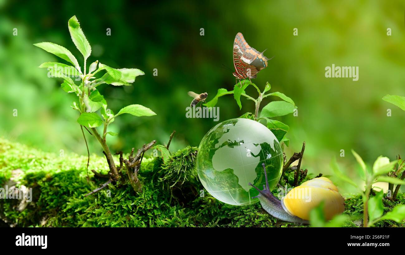 2025 ecology animal welfare protection. Glass globe earth ball with ...