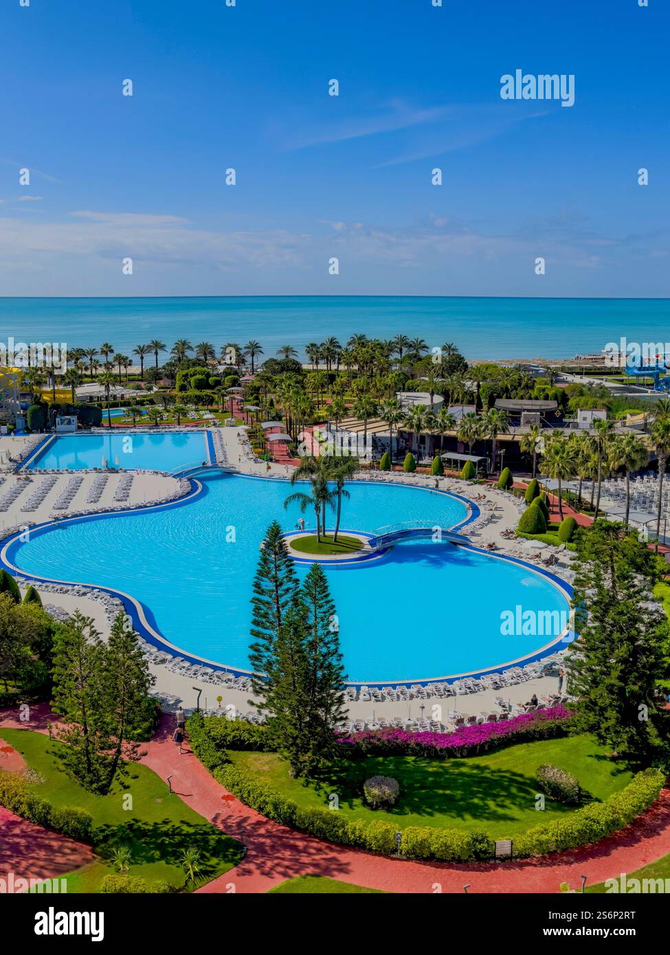 View of the pool of the hotel complex with Norfolk firs (Araucaria ...