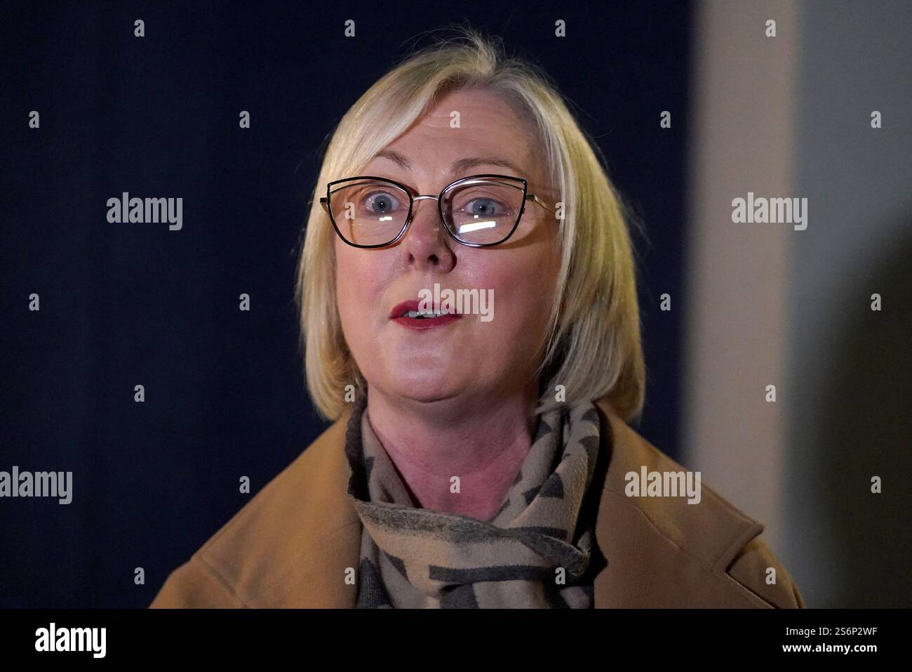 Fine Gael's Regina Doherty speaks to media as she arrives at Talbot ...