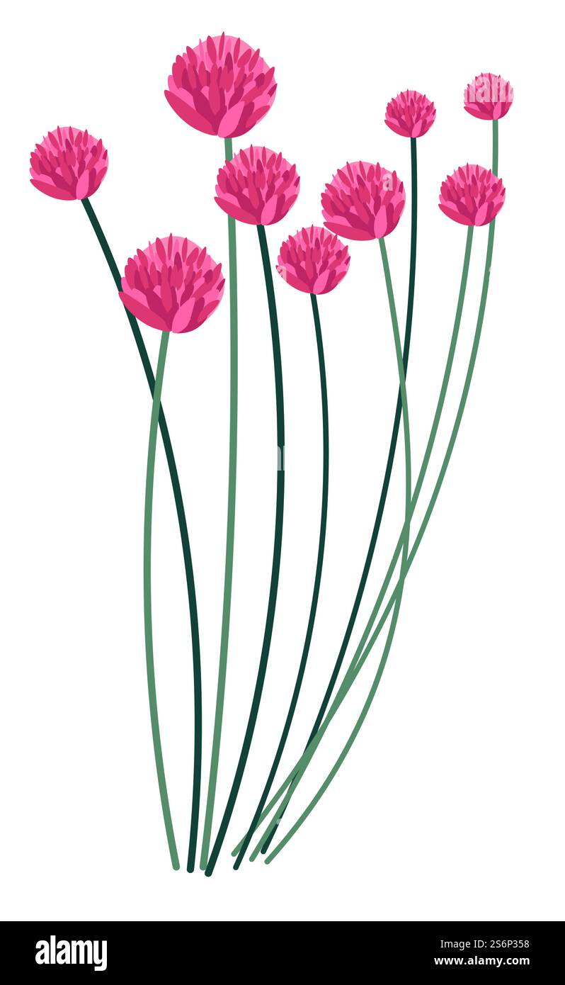 Clover meadows Stock Vector Images - Alamy