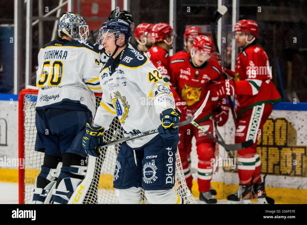 Mora, Sverige. 17th Jan, 2025. 250117 Södertäljes Ludvig Hedström deppar efter 3-1 under ...