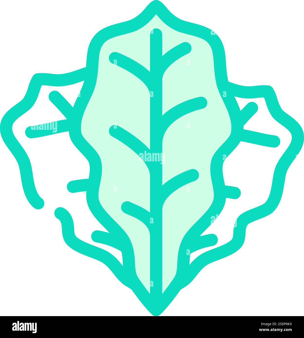 spinach leaves color icon vector. spinach leaves sign. isolated symbol ...