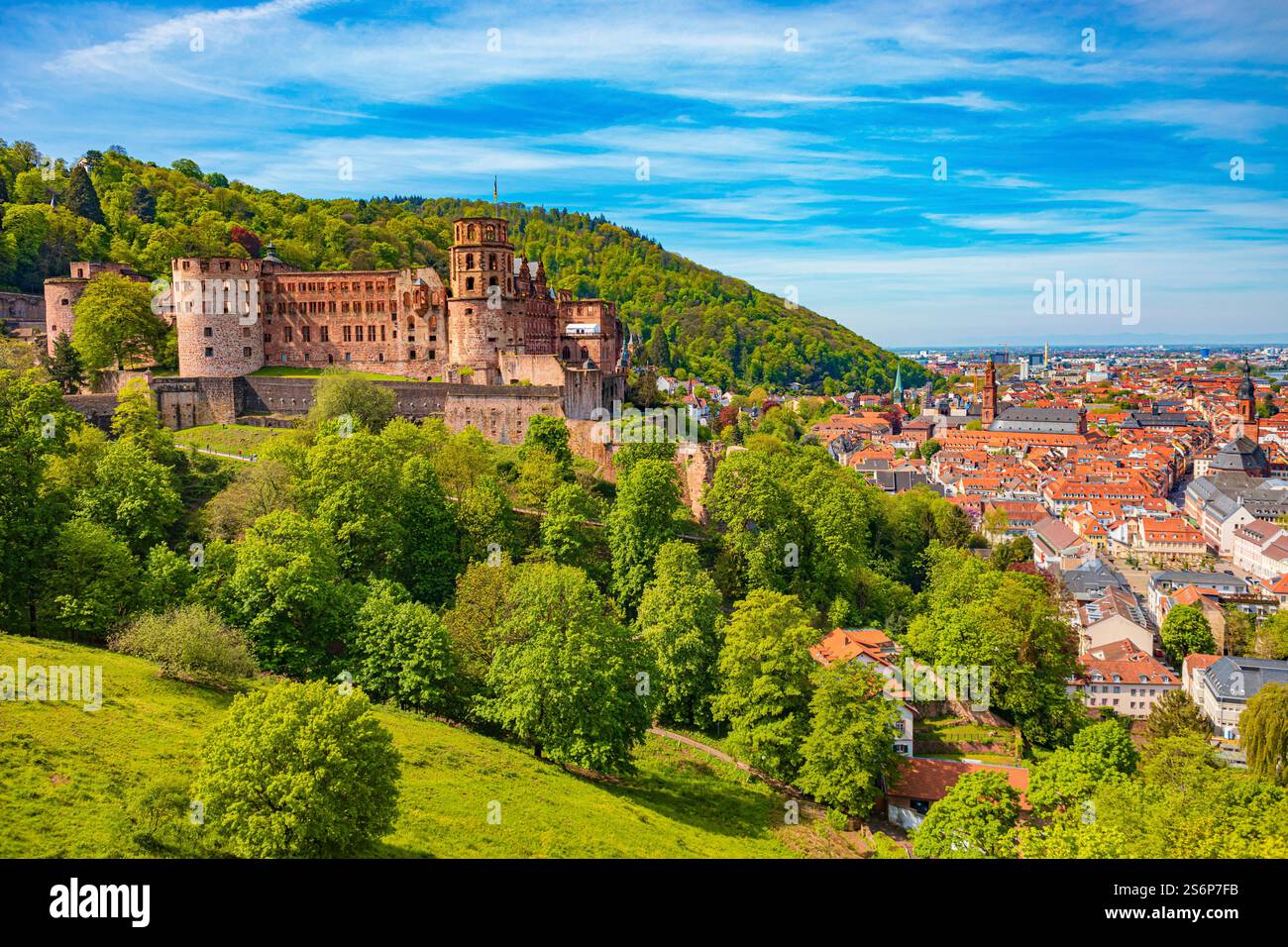 The Cityscape view of Heidelberg town from Schloss Heidelberg, Germany ...