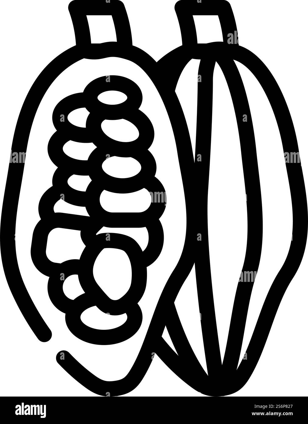 cocoa beans line icon vector. cocoa beans sign. isolated contour symbol ...
