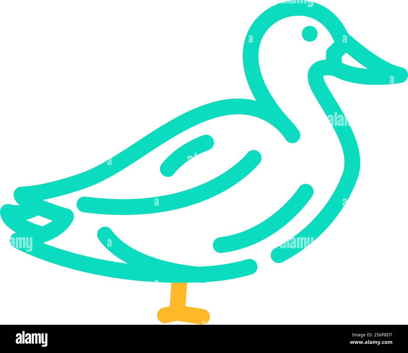duck farm bird color icon vector. duck farm bird sign. isolated symbol ...