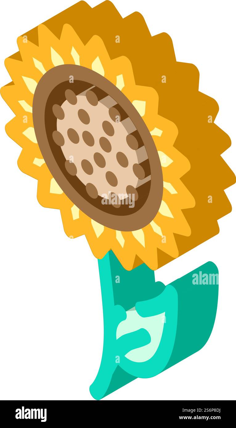 sunflower flower isometric icon vector. sunflower flower sign. isolated ...