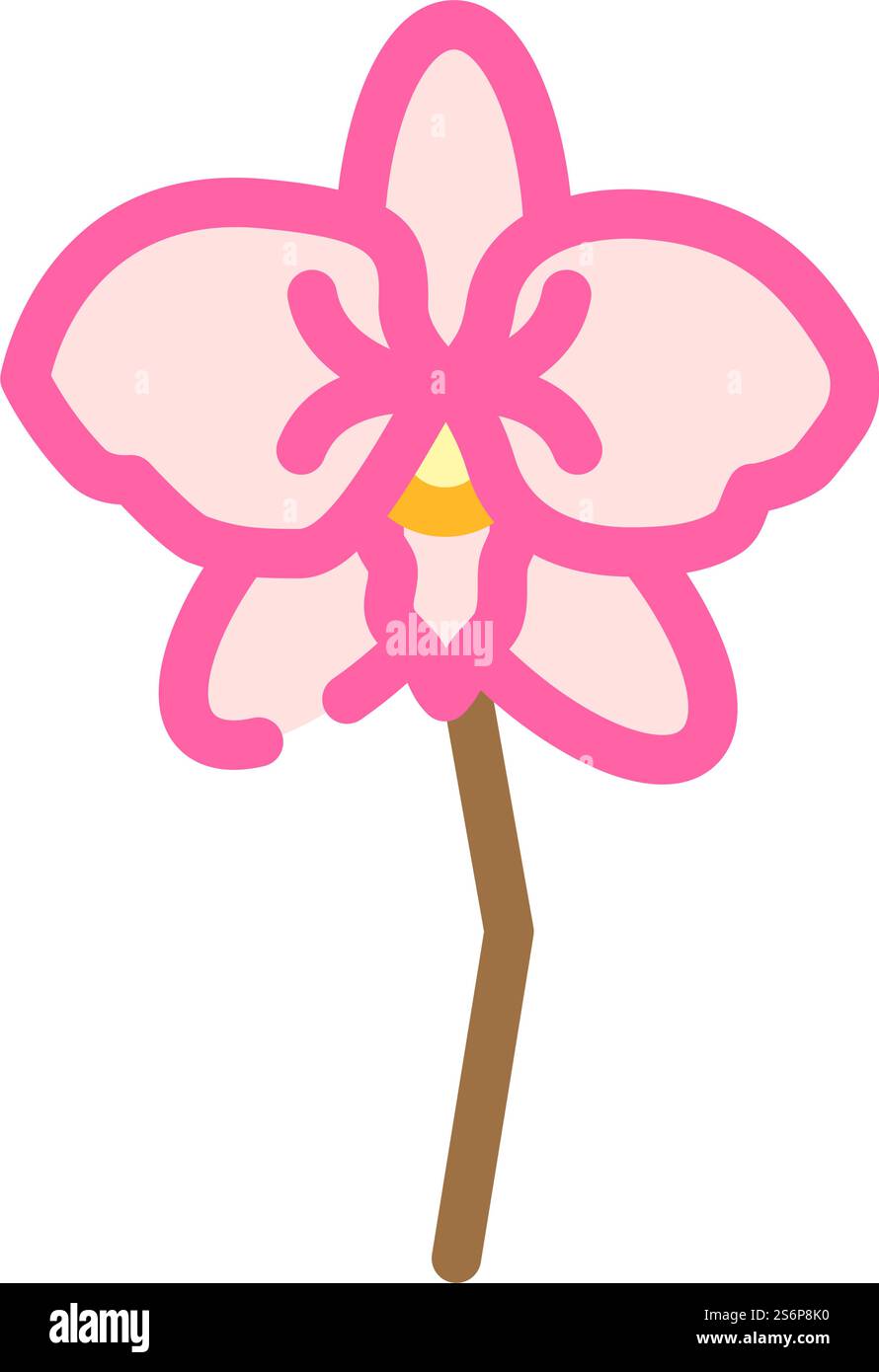 orchid aroma flower color icon vector. orchid aroma flower sign ...